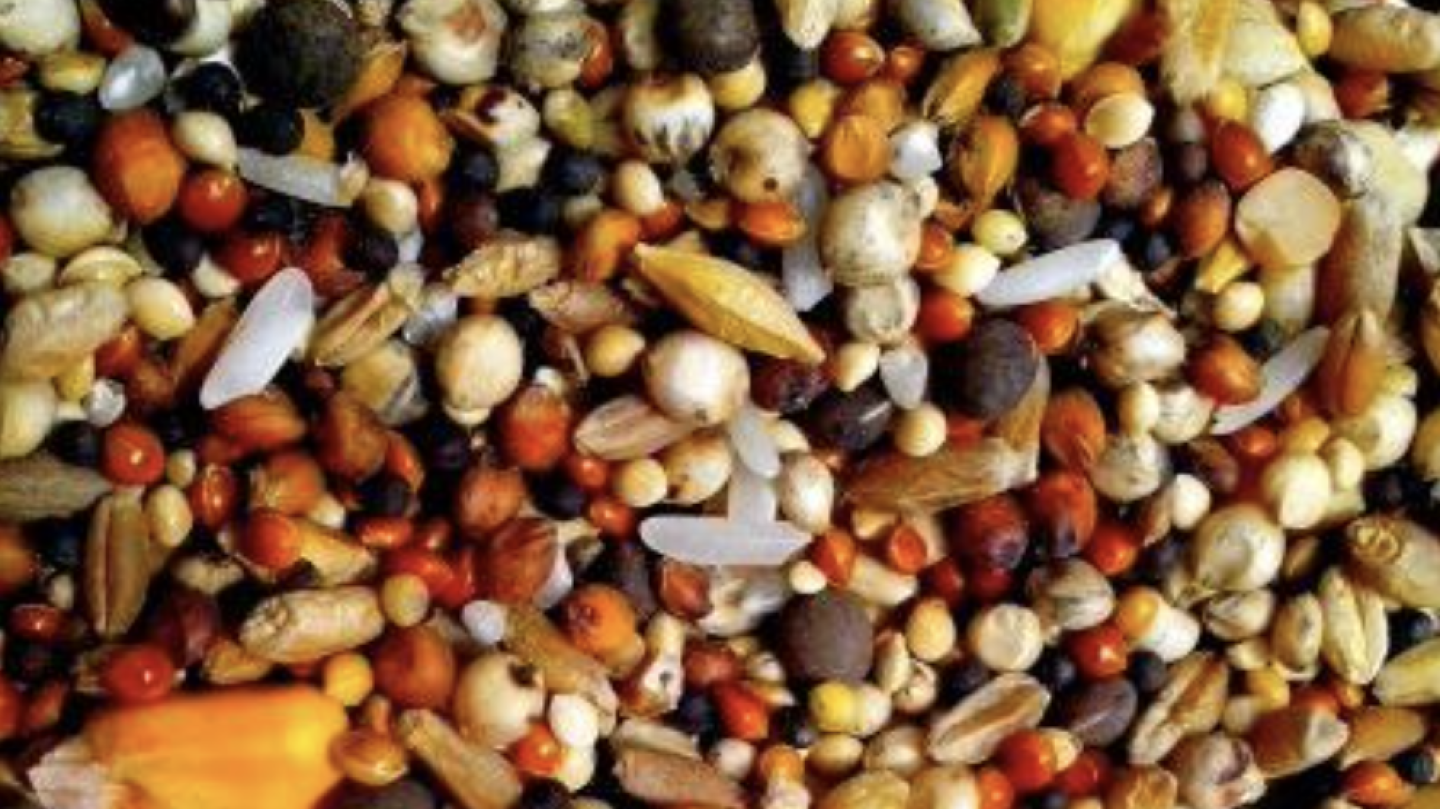 DSI-Funded Data Science Research | Data Science Institute | Brown ...