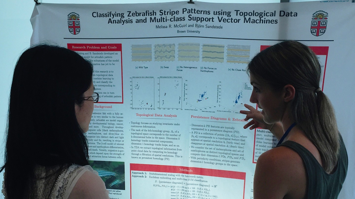 Apply for Data Science Grants | Data Science Institute | Brown University